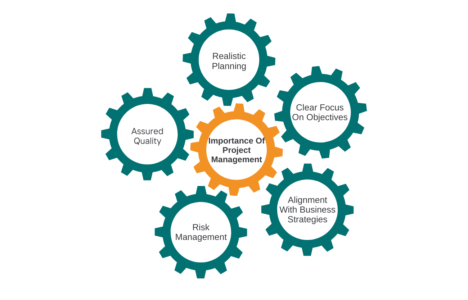 Key Characteristics of Project Management You Should Know