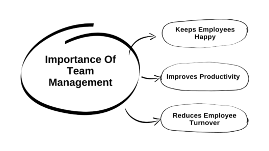 Top 21 Effective Team Management Skills: Key To Become a Good Manager ...
