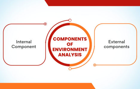 What is Environment Analysis? Objectives, Theories and Examples