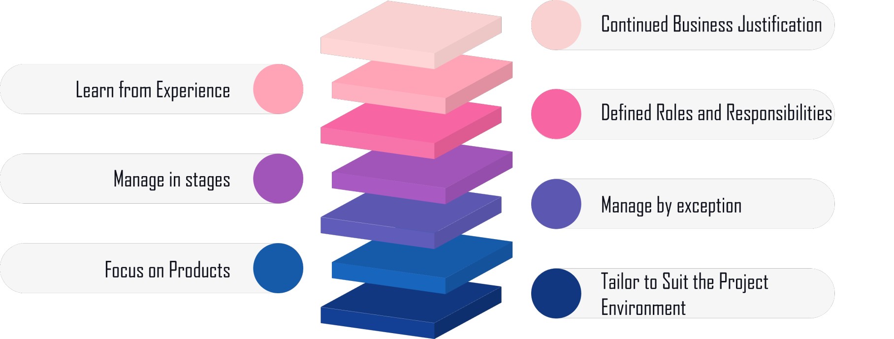 The 7 PRINCE2 Principles, Themese, Processes, & Roles Explained