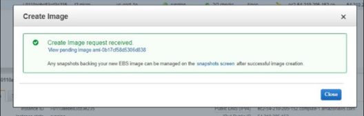 What is Amazon Machine Image (AWS AMI)? Explained
