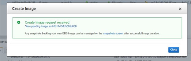 What is Amazon Machine Image (AWS AMI)? Explained