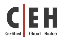 Cyber Security Roadmap for Beginners : Career Path, Skills, and Salary