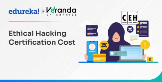 Ethical Hacking Certification Cost